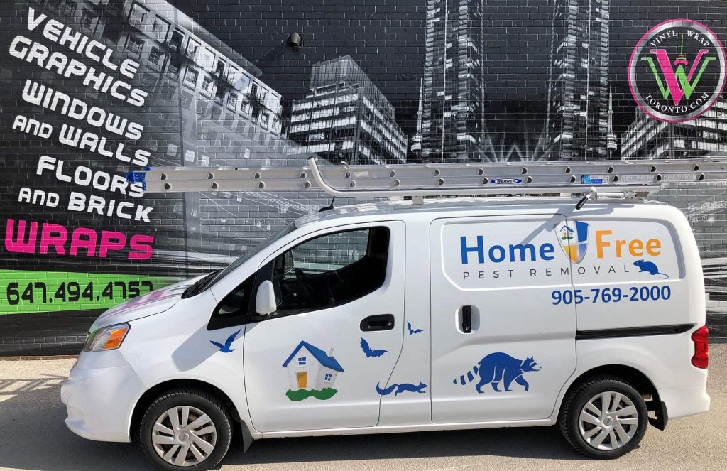 Best Van Lettering And Decals In GTA - 3M & Avery